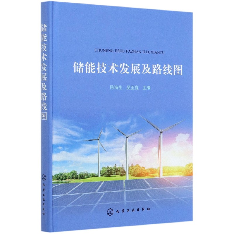 储能技术发展及路线图(精)