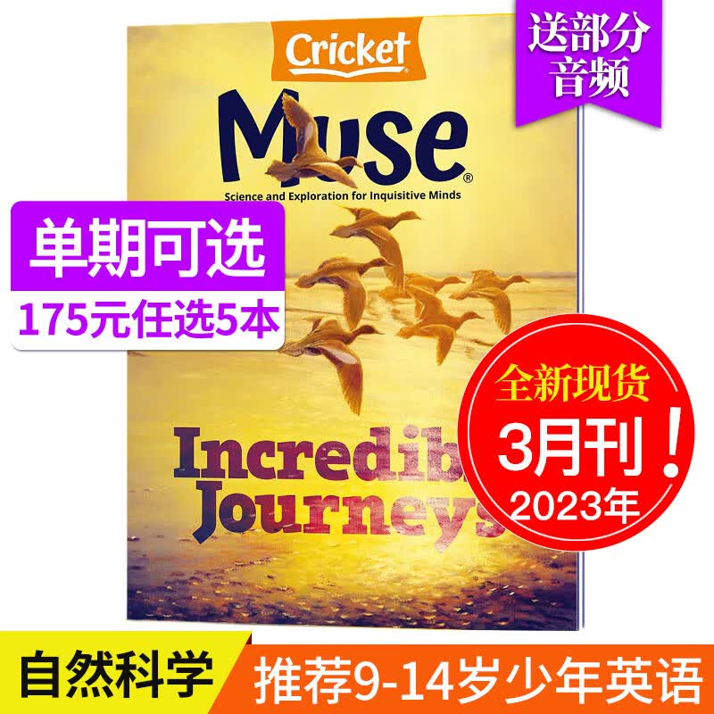 【送音频】美国儿童读物杂志 Muse 缪斯艺术科学科普杂志 9-14岁中小学生儿童课外读物蟋蟀童书2023/22年期刊 2023年3月刊