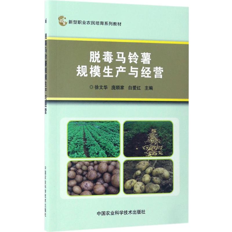 脱毒马铃薯规模生产与经营