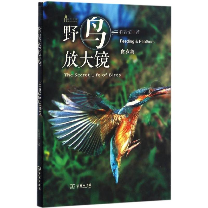 野鸟放大镜食衣篇 许晋荣  书籍
