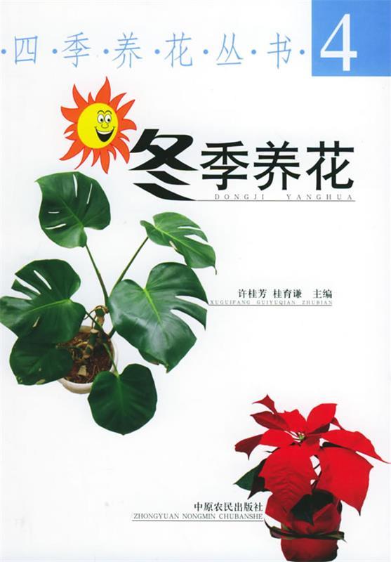 冬季养花