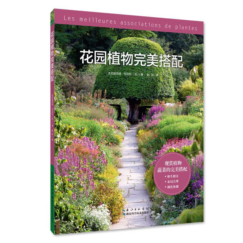 花园植物完美搭配