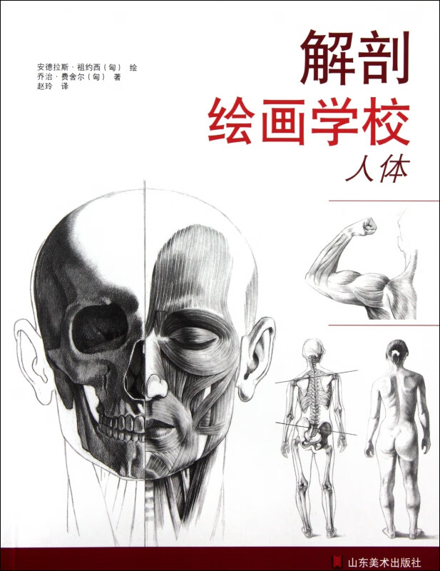解剖绘画学校(人体)