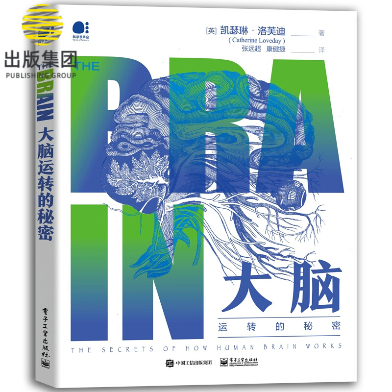 大脑运转的秘密