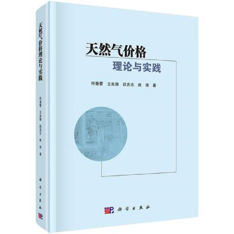 天然气价格理论与实践