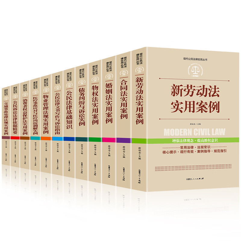 全12册法律书籍全套实用版 公民法律基础知识+债务纠纷诉讼+婚姻