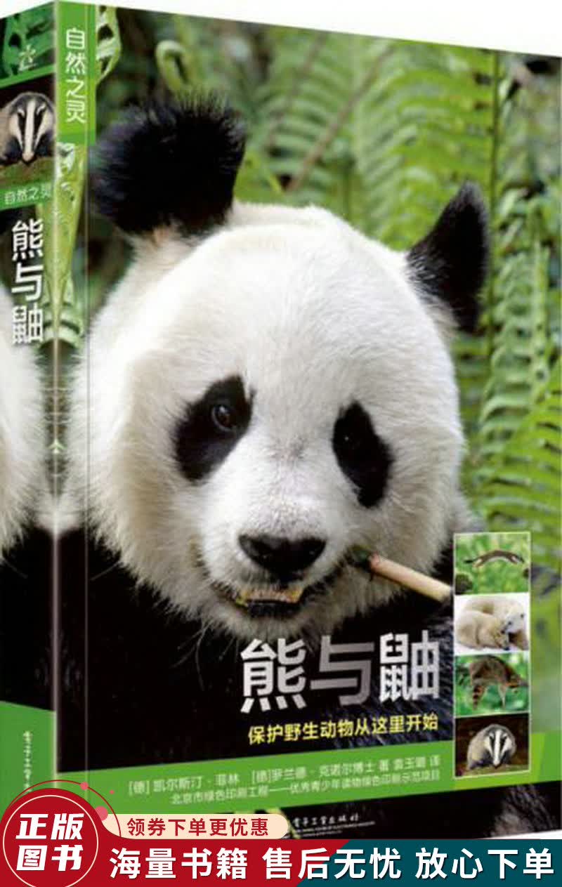 自然之灵熊与鼬全彩