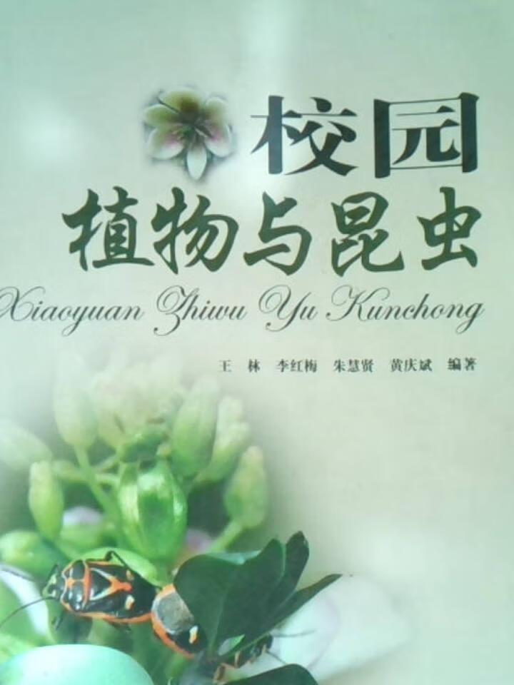 校园植物与昆虫