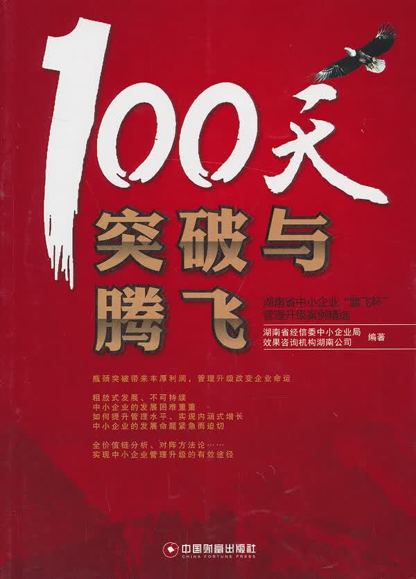 100天突破与腾飞 中国财富出版社 9787504747051