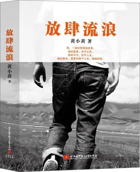 放肆流浪9787512417670