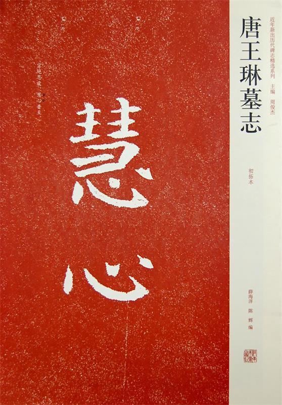 唐王琳墓志
