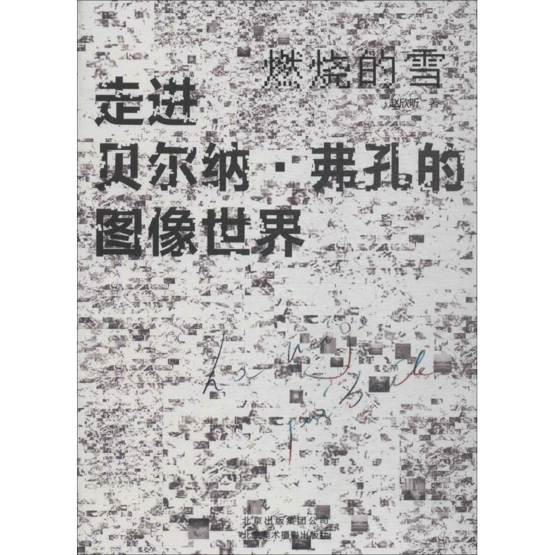 燃烧的雪 走进贝尔纳·弗孔的图像世界 赵欣昕  书籍