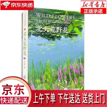 【新华畅销图书】北大荒野花 于宝玲 著 重庆大学出版社