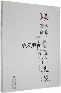张朝晖书法作品选 张朝晖著 福建美术出版社