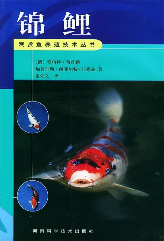锦鲤【，放心购买】
