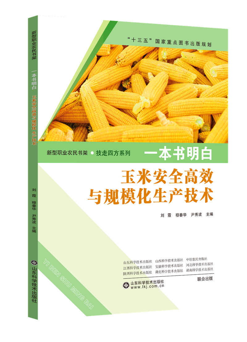 一本书明白：玉米安全高效与规模化生产技术