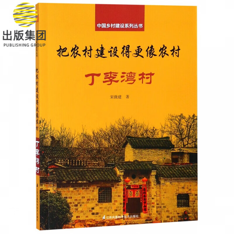 把农村建设得更像农村(丁李湾村)/中国乡村建设系列丛书
