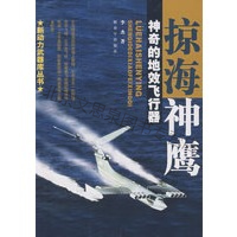 掠海神鹰：神奇的地效飞行器