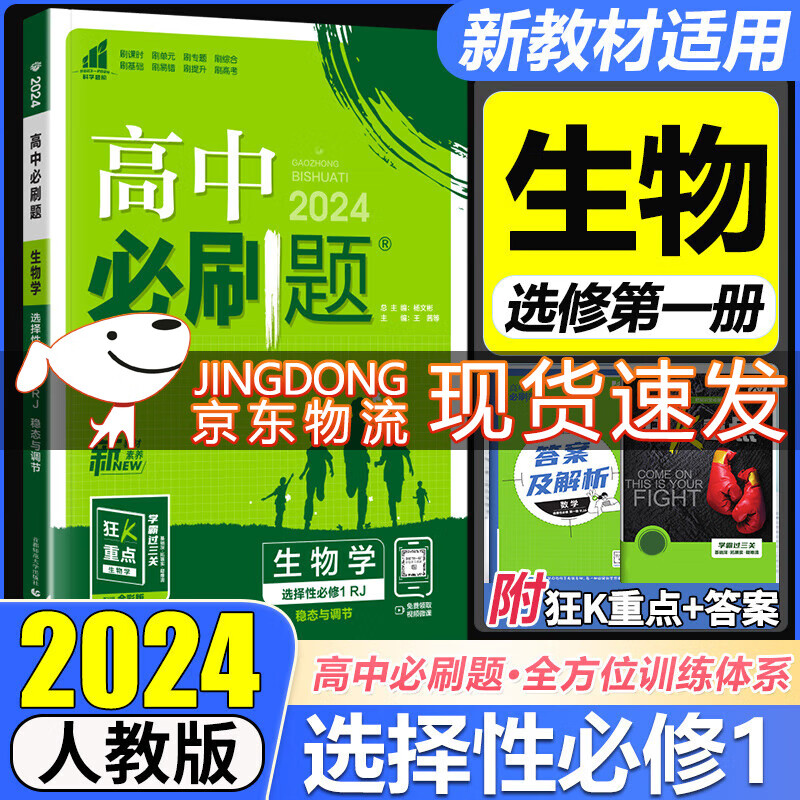 高二上册选修一2024版高中必刷题高二选择性必修第一册选修1人教版新教材新高考 课本同步练习册狂K重点 生物 选择性必修1