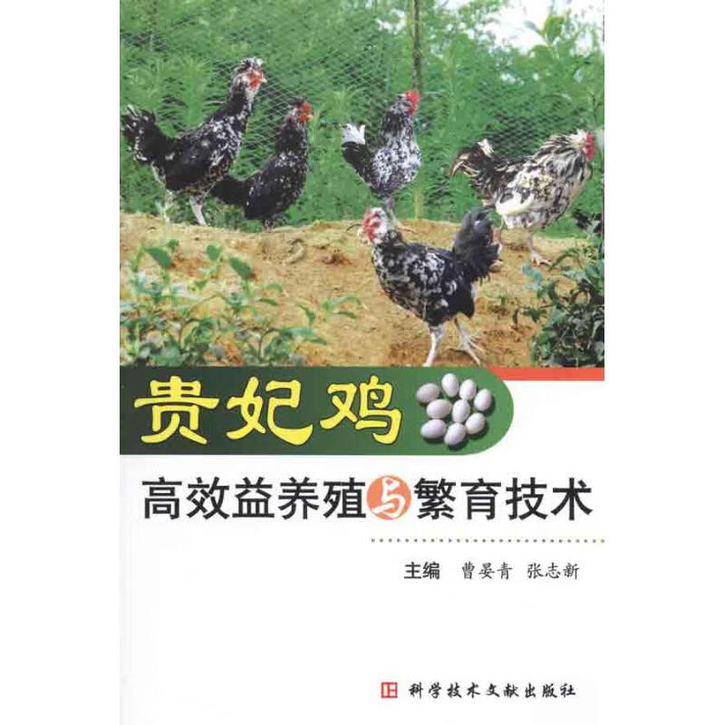 贵妃鸡高效益养殖与繁育技术