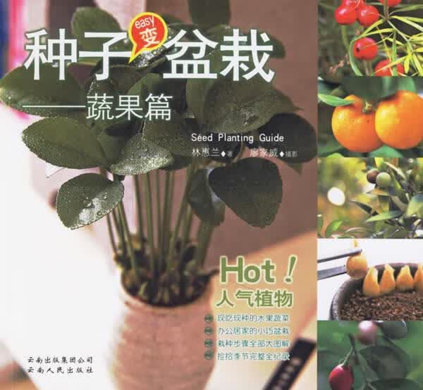 种子变盆栽 蔬果篇【特惠】
