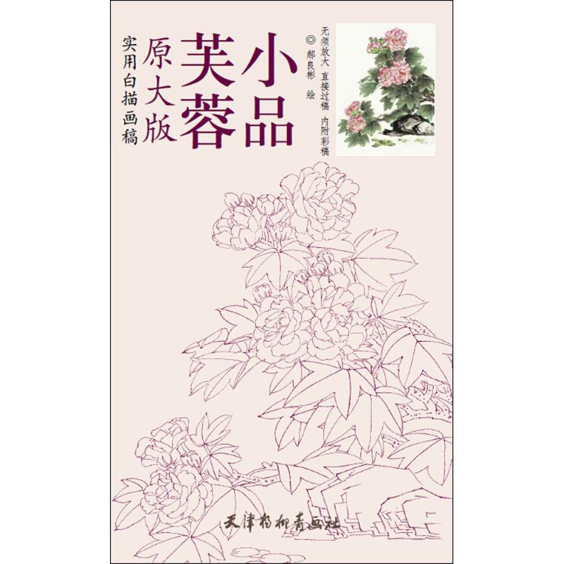 芙蓉小品