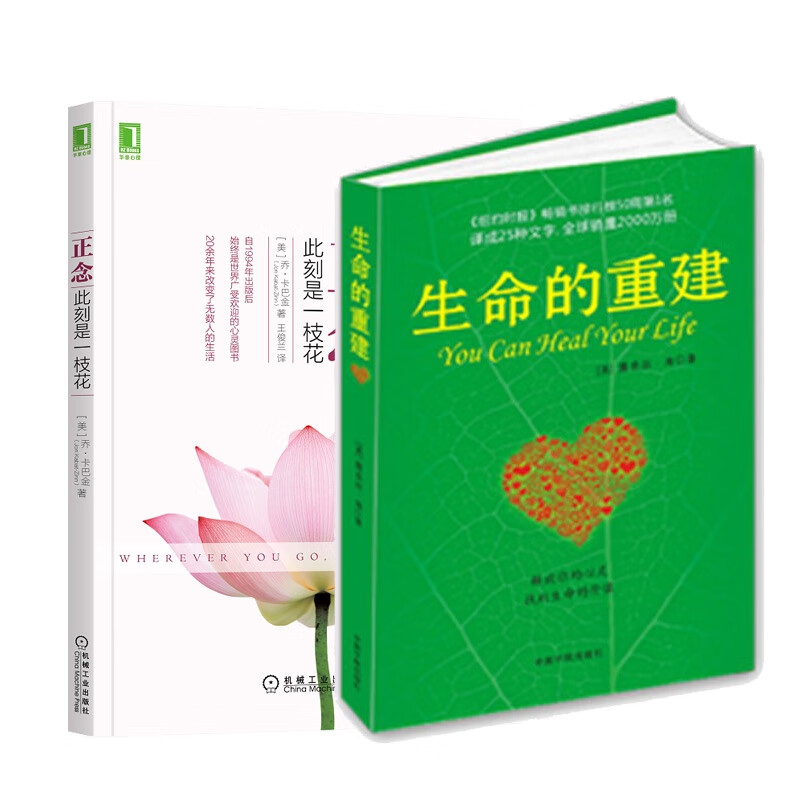 生命的重建+正念：此刻是一枝花 共2册