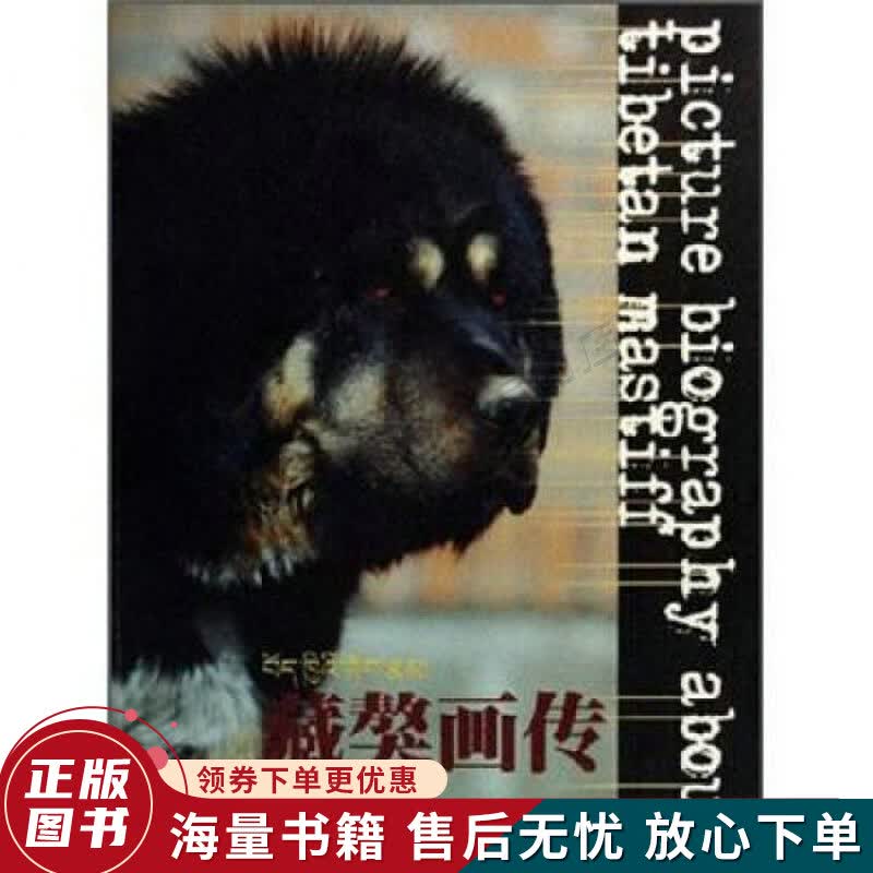 藏獒画传