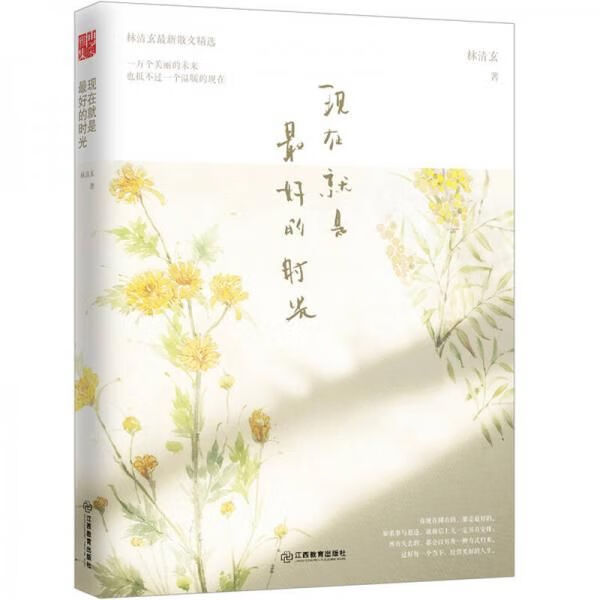 现在就是好的时光9787539290546