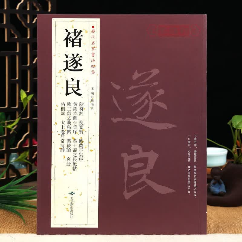 学海轩共11帖褚遂良历代名家书法胡峡江繁体旁注阴符经倪宽赞临兰亭集序临王献之飞鸟帖乐毅论褚体毛笔字帖