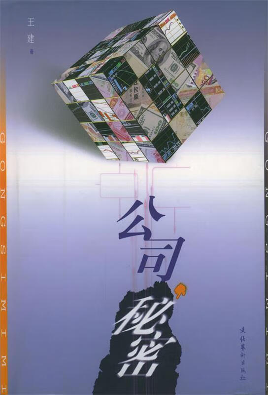公司秘密【好书，下单速发】
