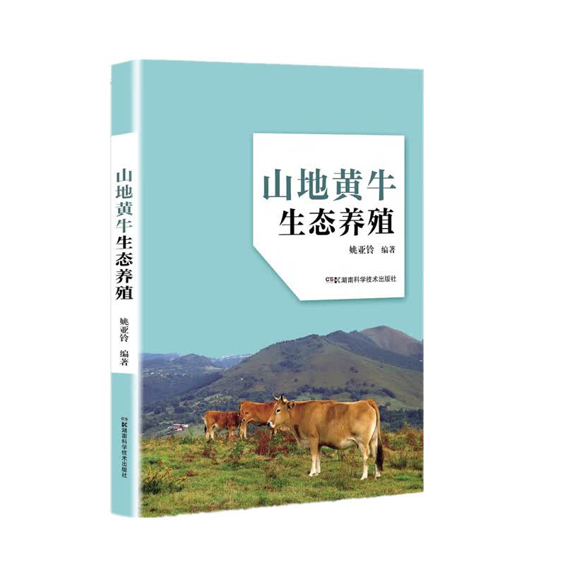 山地黄牛生态养殖 姚亚铃