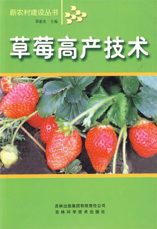 草莓高产技术【好书，下单速发】