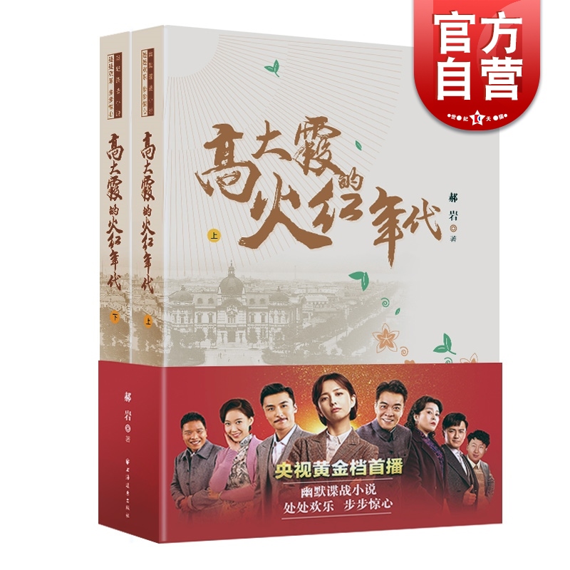 高大霞的火红年代 郝岩 同名电视剧原著小说 长篇小说 电视剧文学剧本 中国现当代文学