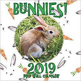 Bunnies  2019 Mini Wall Calendar