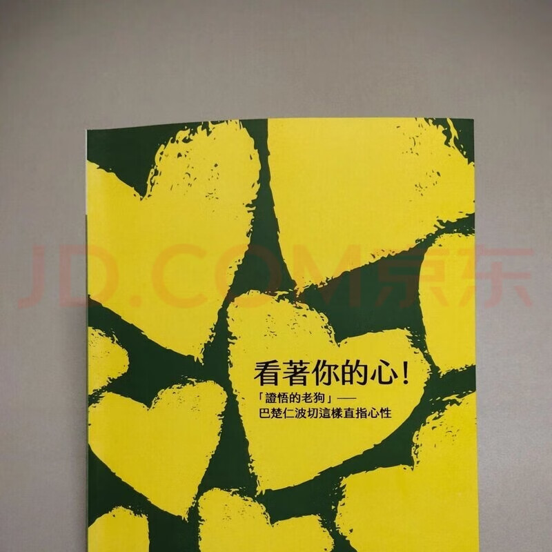 高清台本！ 看着你的心 证悟的老狗 巴楚仁波切这样直指心性