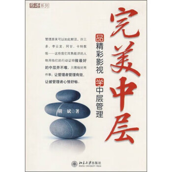 完美中层 胡斌 著