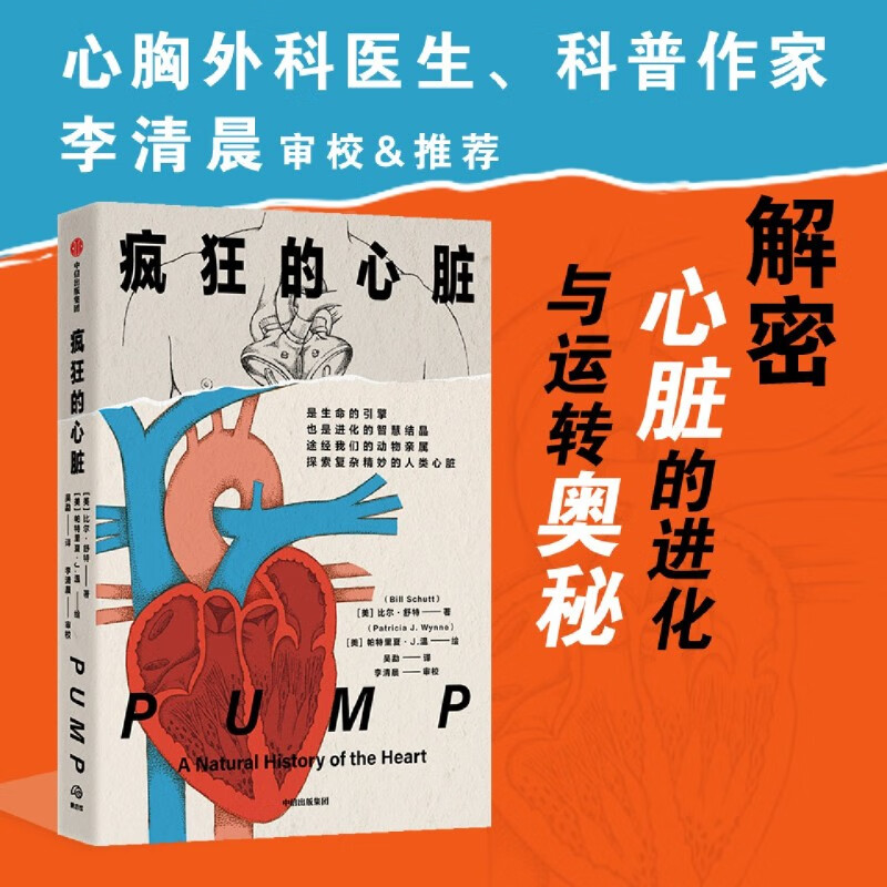 疯狂的心脏
