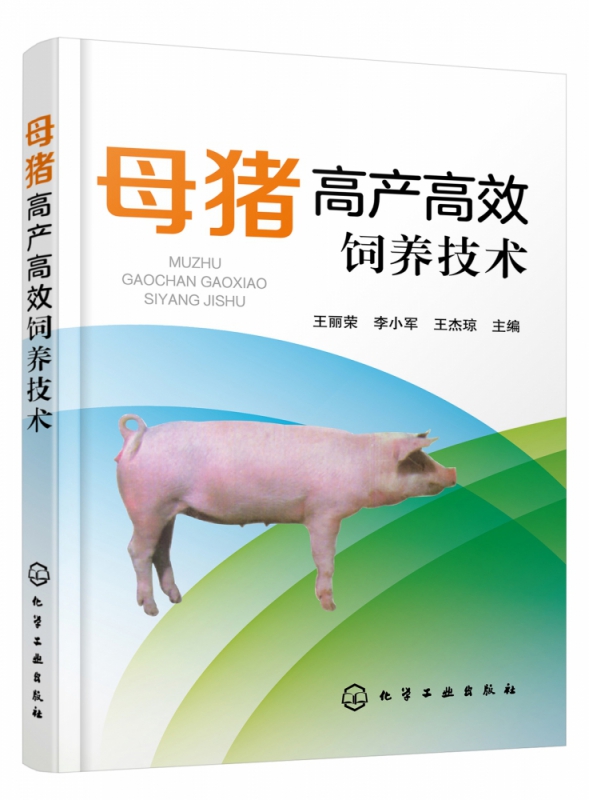 母猪高产高效饲养技术