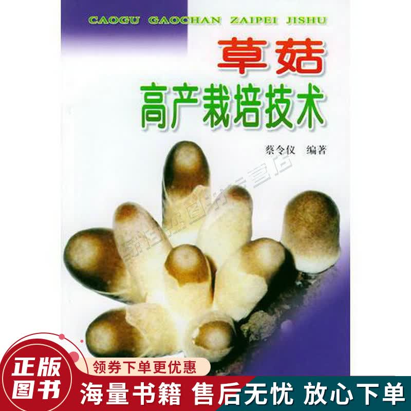 草菇高产栽培技术