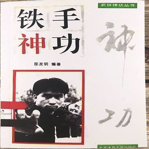 铁手神功 邵发明编著 1996.08