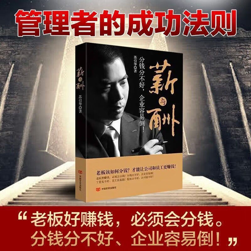 薪与酬薪酬设计与绩效考核全案企业管理苏引华成功学大脑银行 薪与酬