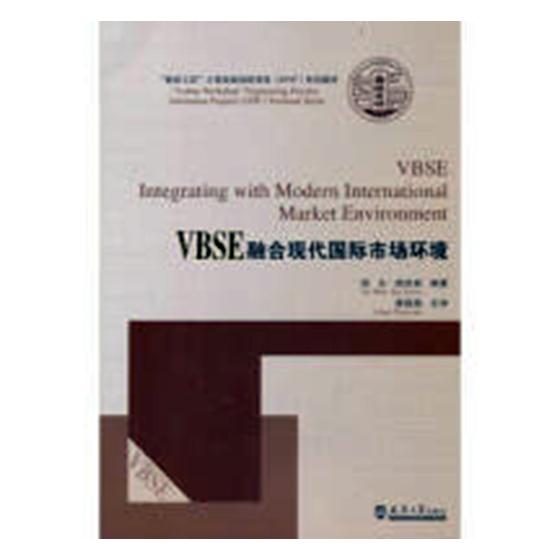 VBSE融合现代市场环境 经济 书籍
