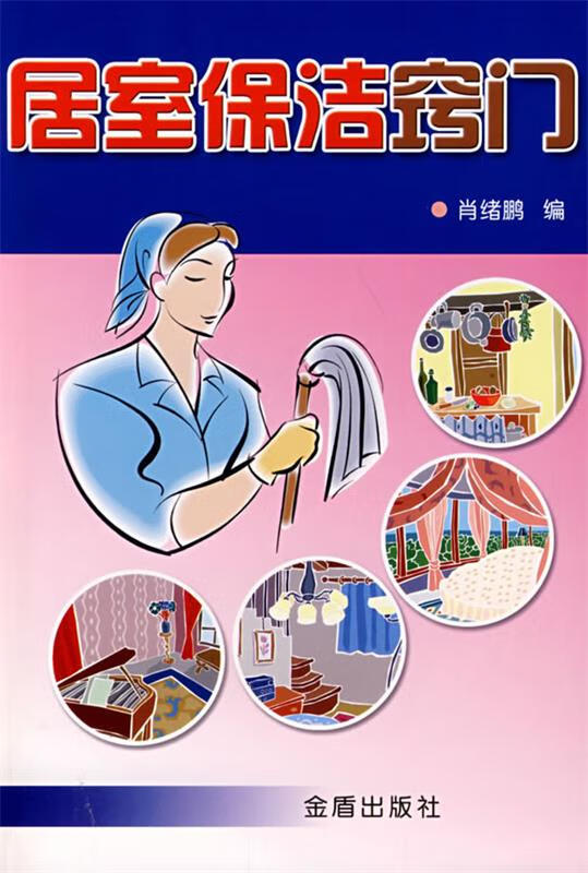 居室保洁窍门 肖绪鹏 编