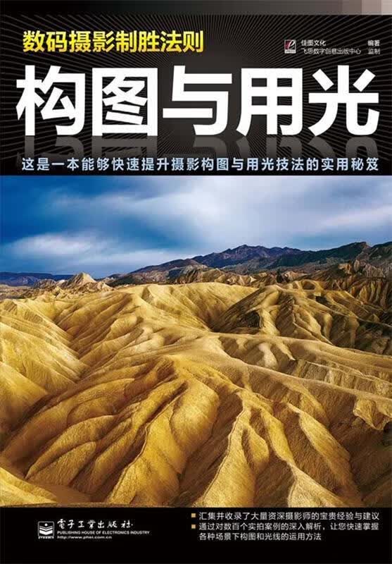 数码摄影制胜法则:构图与用光 佳图文化 编著 电子工业出版社