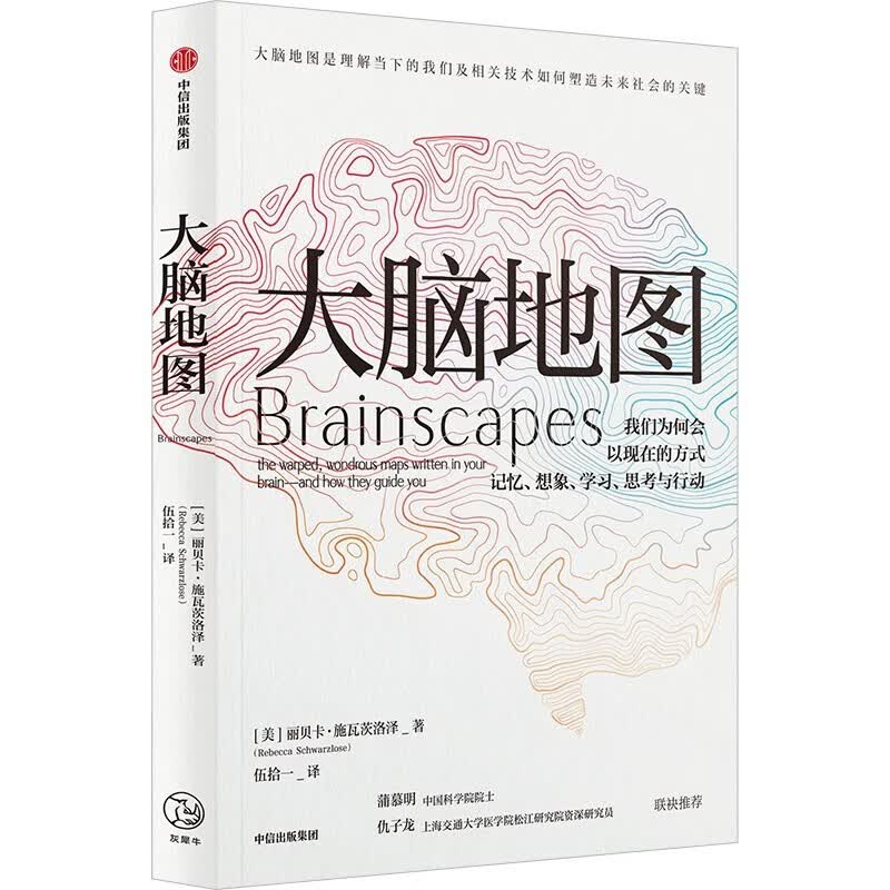 大脑地图