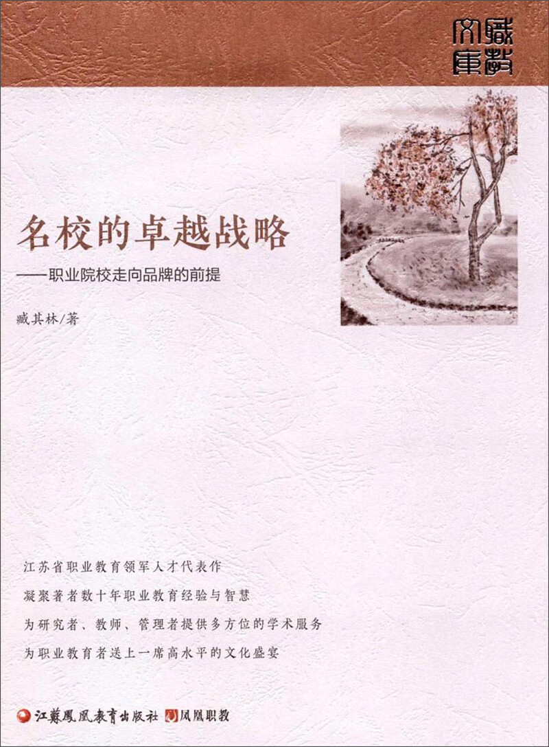 名校的卓越战略 职业院校走向品牌的前提【好书】