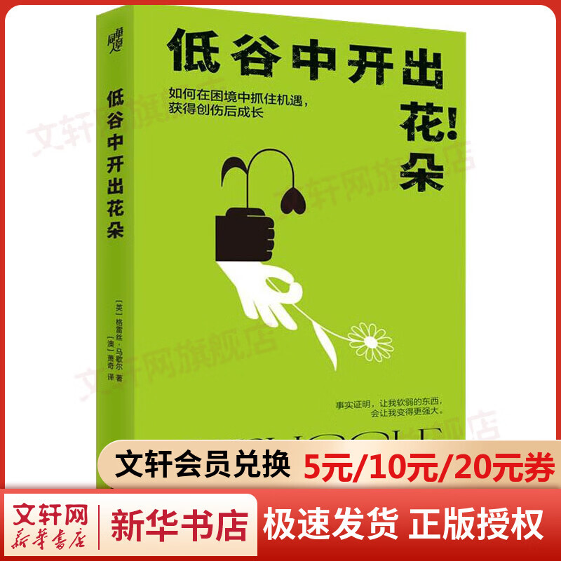 低谷中开出花朵 图书