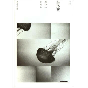 游心集:陈众议自选集 陈众议 著 河南大学出版社