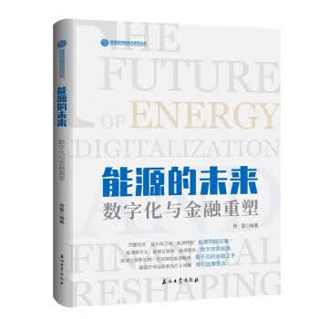 能源的未来--数字化与金融重塑 杨雷 著 石油工业出版社 9787518339044